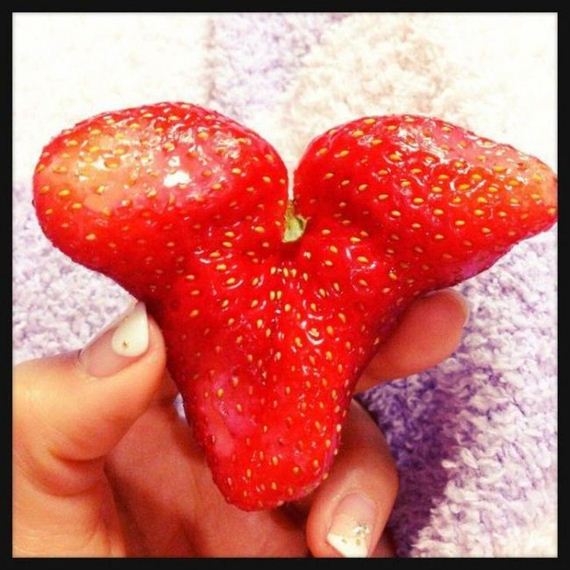 Fukushima: des fruits et des légumes mal formés à cause des radiations ...