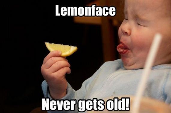 63 photos drôles et totalement insolites ! – PresseAlgerie.fr